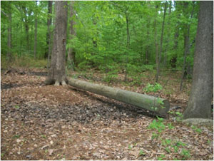 Outdoor Achievement Center | Virginia Wesleyan University